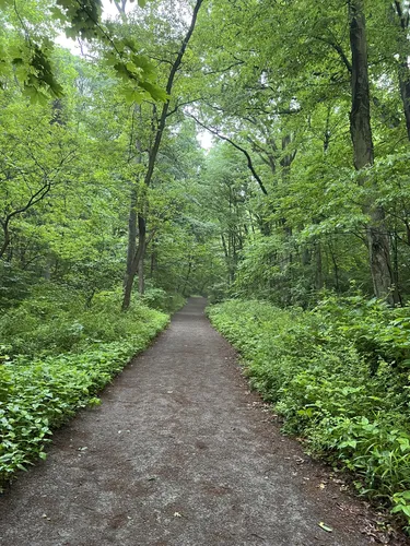 Best Hikes and Trails in Forest Park Preserve | AllTrails