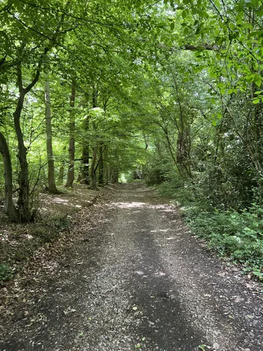 2023 Best 10 Trails, Walks, and Paths in Harrow | AllTrails