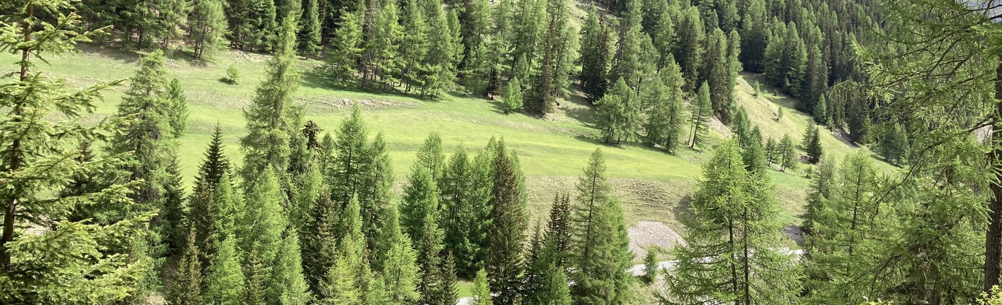 S-chanf - Val Chaschauna - Rifugio Cassana: 1 Reviews, Map - Graubünden ...