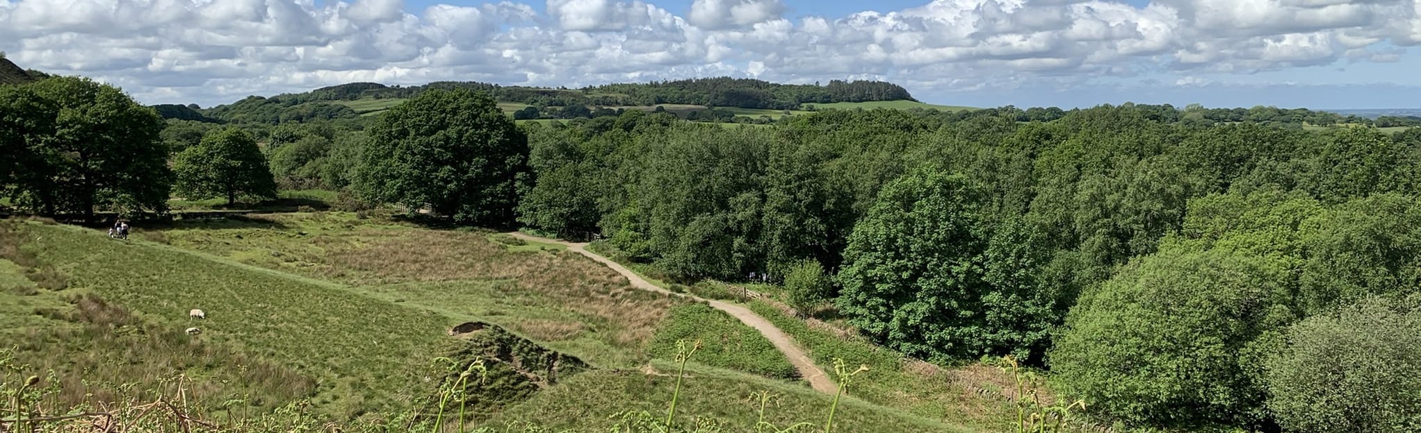 White Coppice and Wheelton Plantation: 129 Reviews, Map - Lancashire ...