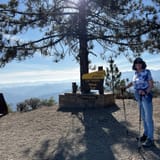 Figueroa Mountain, California - 261 Reviews, Map | AllTrails