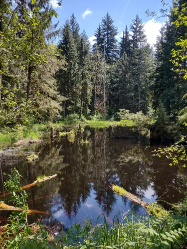 10 Best Trails and Hikes in Redmond | AllTrails