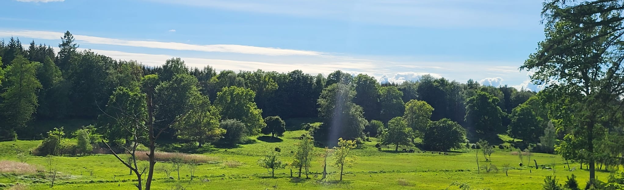 Ganløse Ore Forest Circular: 46 Reviews, Map - Capital Region of ...