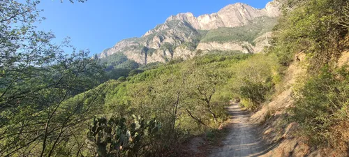 Los 10 mejores senderos y rutas para hacer senderismo en Parque ...