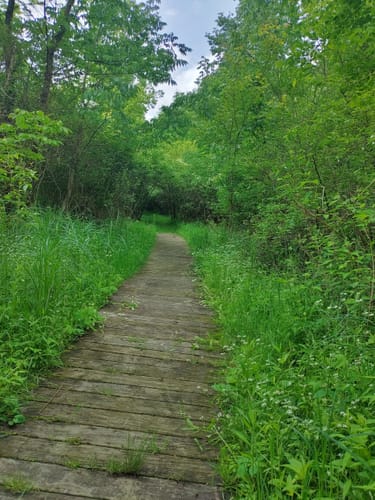 Best Hikes and Trails in Morris Woods State Park | AllTrails