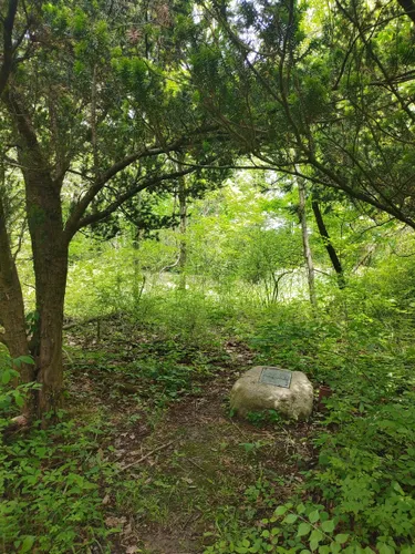 Best Hikes and Trails in Morris Woods State Park | AllTrails