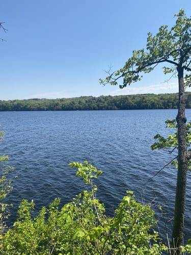 Best Hikes and Trails in St. Croix Bluffs Regional Park | AllTrails