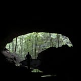 Bunkum Cave Trail, Tennessee - 195 Reviews, Map | AllTrails