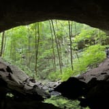 Bunkum Cave Trail, Tennessee - 195 Reviews, Map | AllTrails
