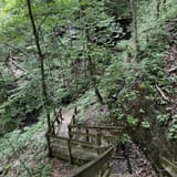 Bunkum Cave Trail, Tennessee - 195 Reviews, Map | AllTrails