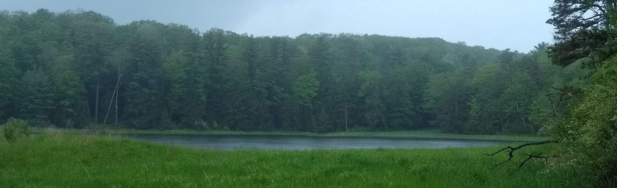 Erwin Pond: 84 Reviews, Map - New York | AllTrails