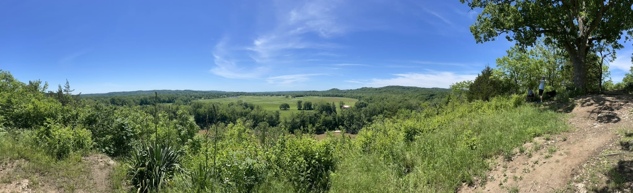 Bluff View Trail, Missouri - 1,450 Reviews, Map | AllTrails