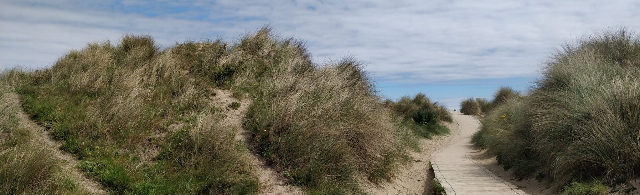 Portmarnock - Malahide Castle, County Dublin, Ireland - 95 Reviews, Map ...