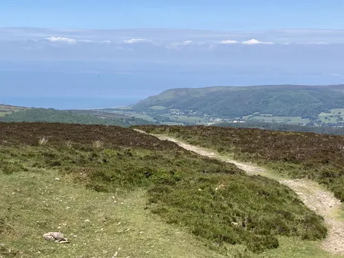 2023 Best 10 Dog Friendly Trails in Exmoor National Park | AllTrails