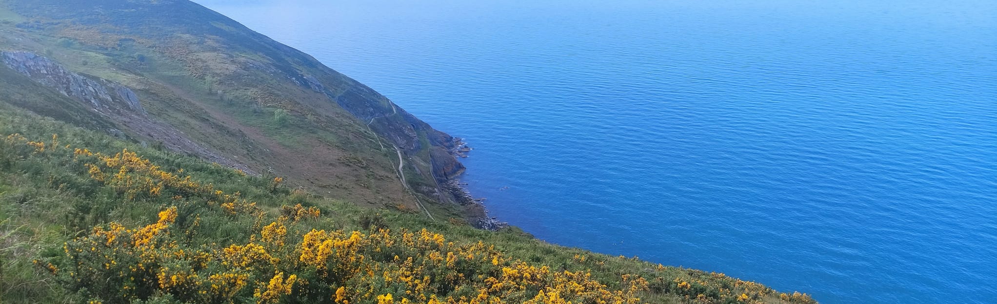 Bray Head and Hillview Loop, County Dublin, Ireland - 106 Reviews, Map ...