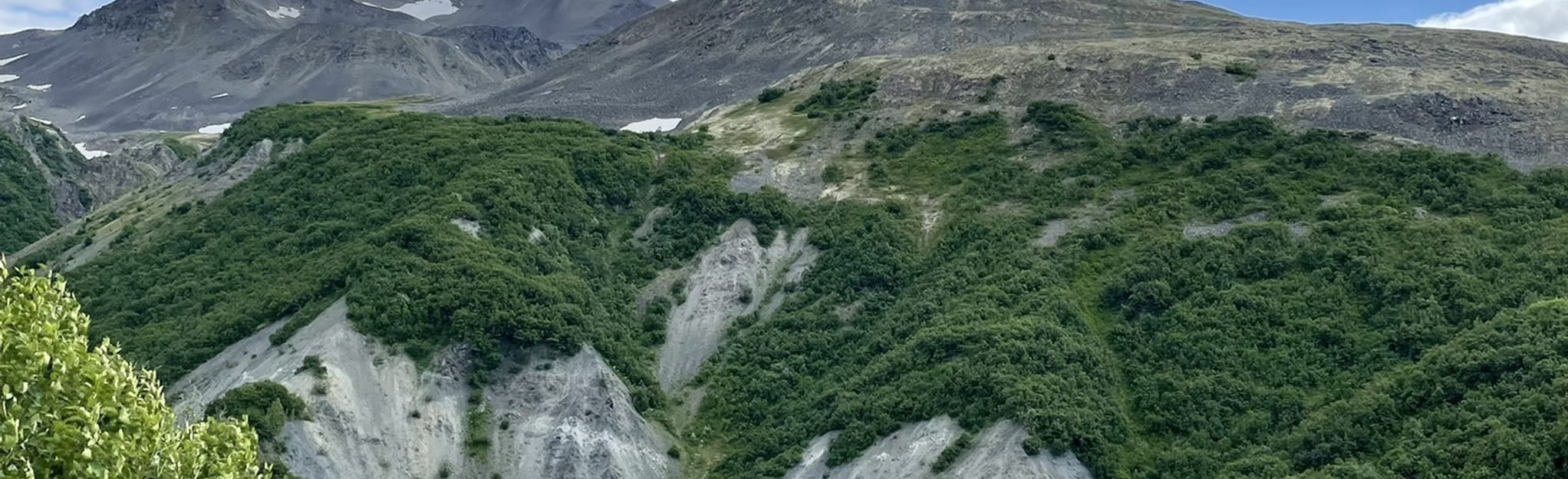 Kesugi Ridge (Curry Ridge) Trail: 183 Reviews, Map - Alaska | AllTrails