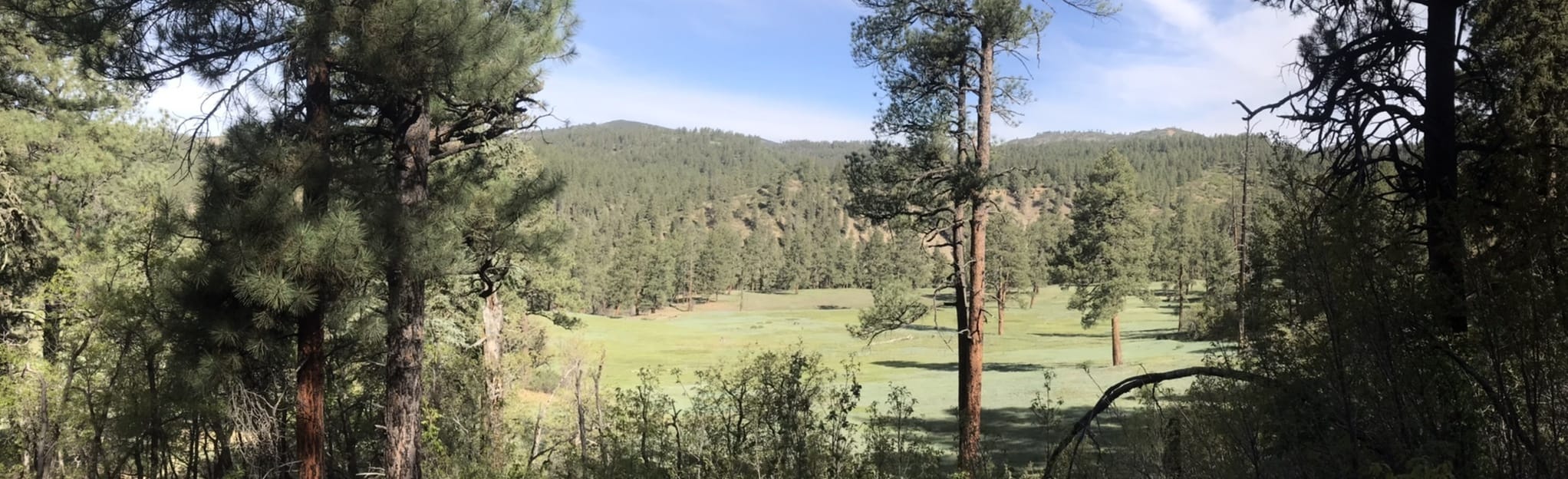 Murray Homestead Trail, Colorado - 44 Reviews, Map | AllTrails