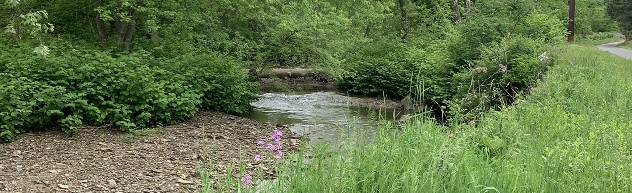 Montour Trail: Groveton Park to McDonald: 84 Reviews, Map ...