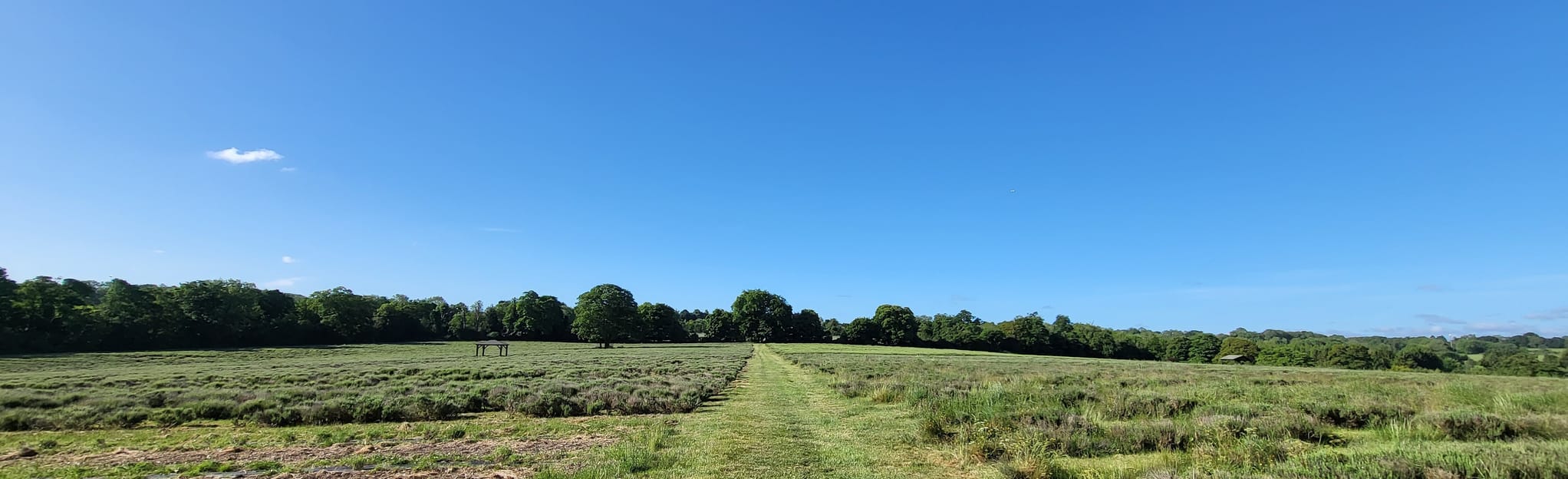 Oaks Park and Banstead Common Circular - Surrey, England | AllTrails