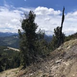 Raspberry Ridge Lookout, Alberta, Canada - 380 Reviews, Map | AllTrails