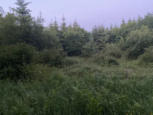 Best Hikes and Trails in Castle Freke Woods | AllTrails