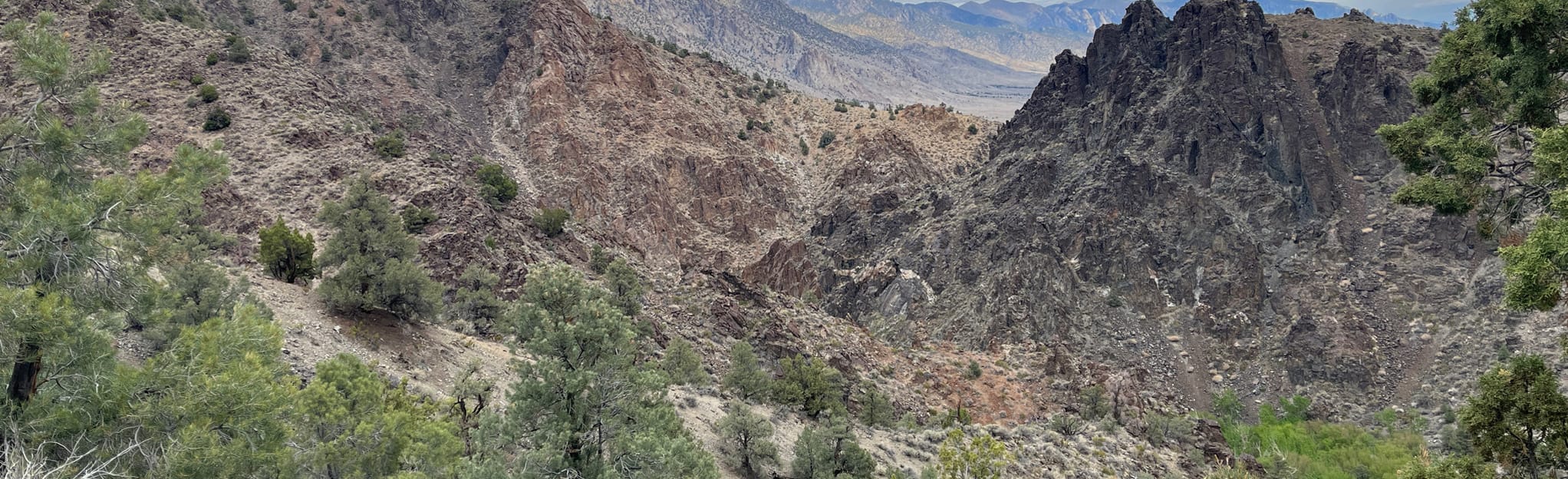 South Twin River Trail, Nevada - 12 Reviews, Map | AllTrails