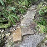 Foothills Trail: Fairfax Bridge to Carbonado, Washington - 285 Reviews ...