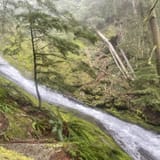 Foothills Trail: Fairfax Bridge to Carbonado, Washington - 285 Reviews ...