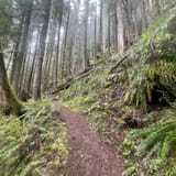 Foothills Trail: Fairfax Bridge to Carbonado, Washington - 285 Reviews ...