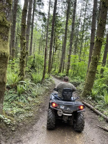 Best Hikes and Trails in Walker Valley ORV Recreational Area | AllTrails