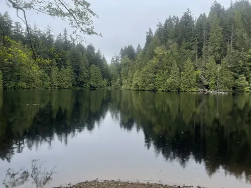 Best Walking Trails in Larrabee State Park | AllTrails