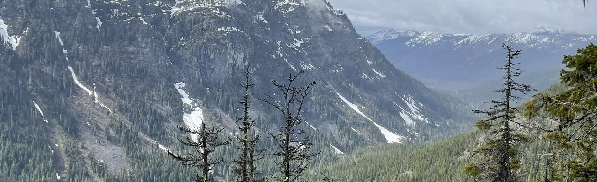 Hawkins Mountain Loop: 3 Reviews, Map - Washington | AllTrails
