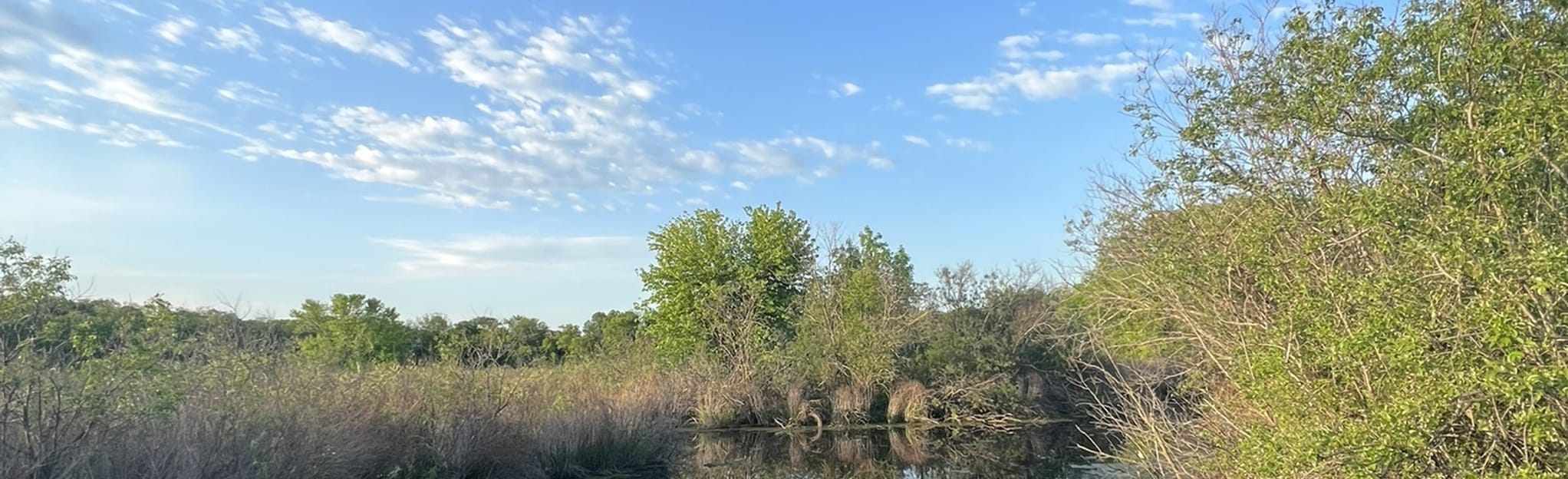 Harriet Alexander Nature Center Trails: 29 Reviews, Map - Minnesota ...