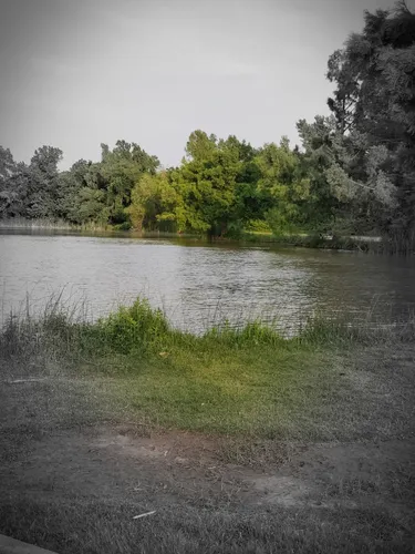 Best Hikes and Trails in Dolese Youth Park | AllTrails