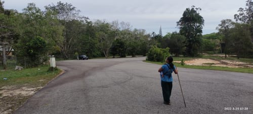 Best Hikes and Trails in Sungai Basong Recreational Park | AllTrails