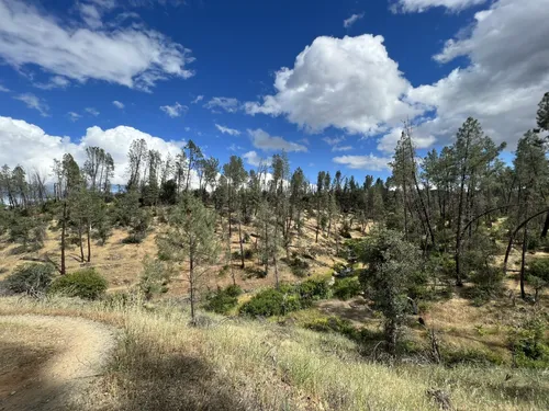2023 Best 10 Trails and Hikes in Redding | AllTrails