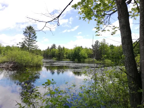 10 Best Trails and Hikes in Ottawa | AllTrails