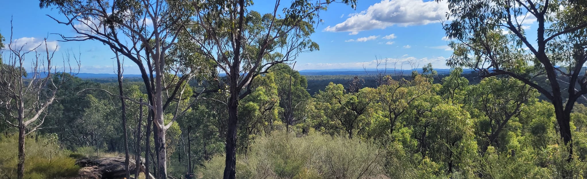 Grass Tree Lookout and Wickham Peak Circuit, Queensland, Australia ...