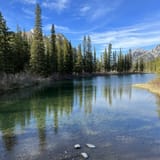 Mount Lorette Pond Trail, Alberta, Canada - 212 Reviews, Map | AllTrails
