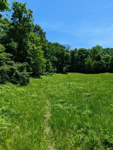 Best Hikes and Trails in Edwardsville | AllTrails
