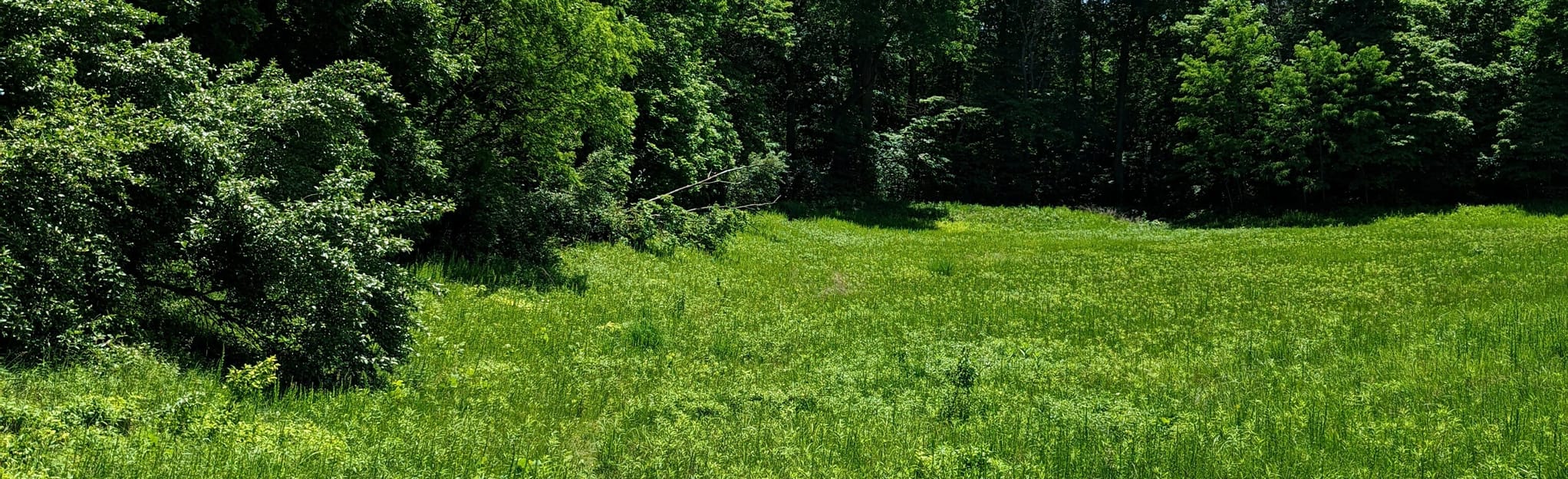 SIUE Nature Preserve Loop: 578 Reviews, Map - Illinois | AllTrails