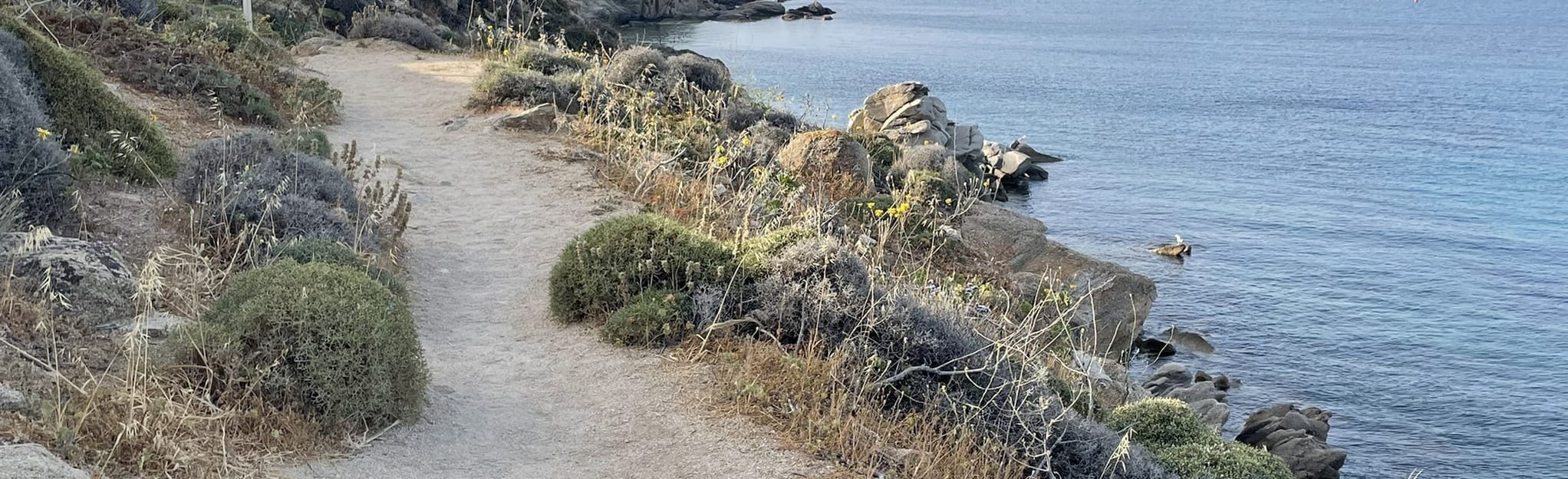 South Coast Cosmopolitan Beaches | Map, Guide - Mykonos, Greece | AllTrails