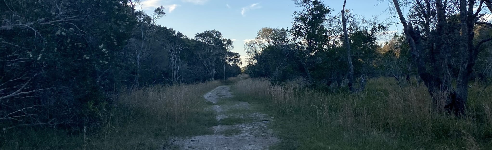 Tayagarah Nature Reserve and Tea Tree Lakes: 18 Reviews, Map - New ...