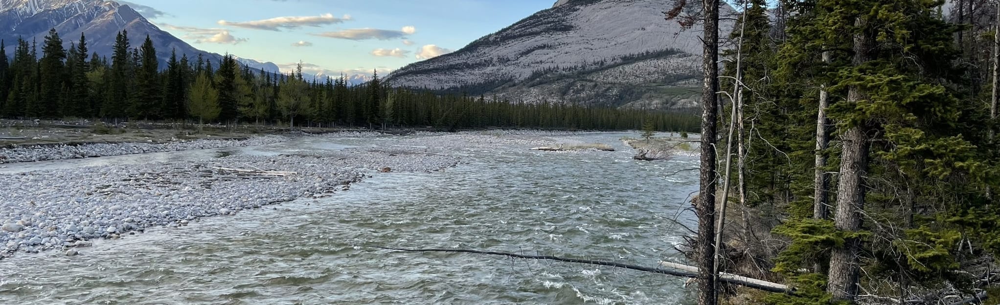 Snaring River Trail: 5 Reviews, Map - Alberta, Canada | AllTrails