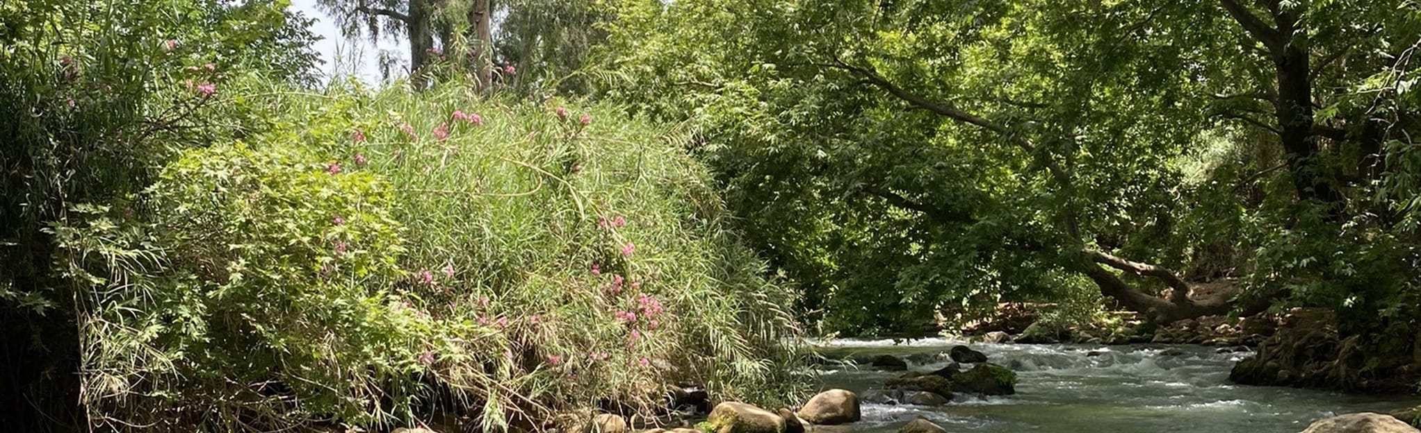 Snir River Loop, Northern District HaZafon, Israel - 12 Reviews, Map ...