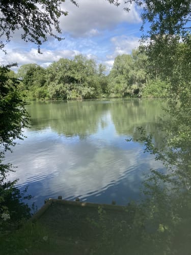 Best Hikes and Trails in Priory Country Park | AllTrails