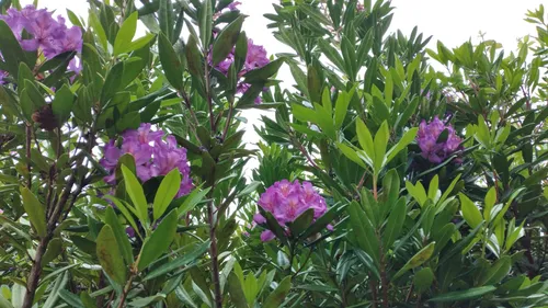 Best Hikes and Trails in Campia | AllTrails