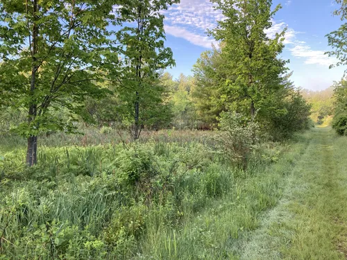 10 Best Trails and Hikes in Durham | AllTrails