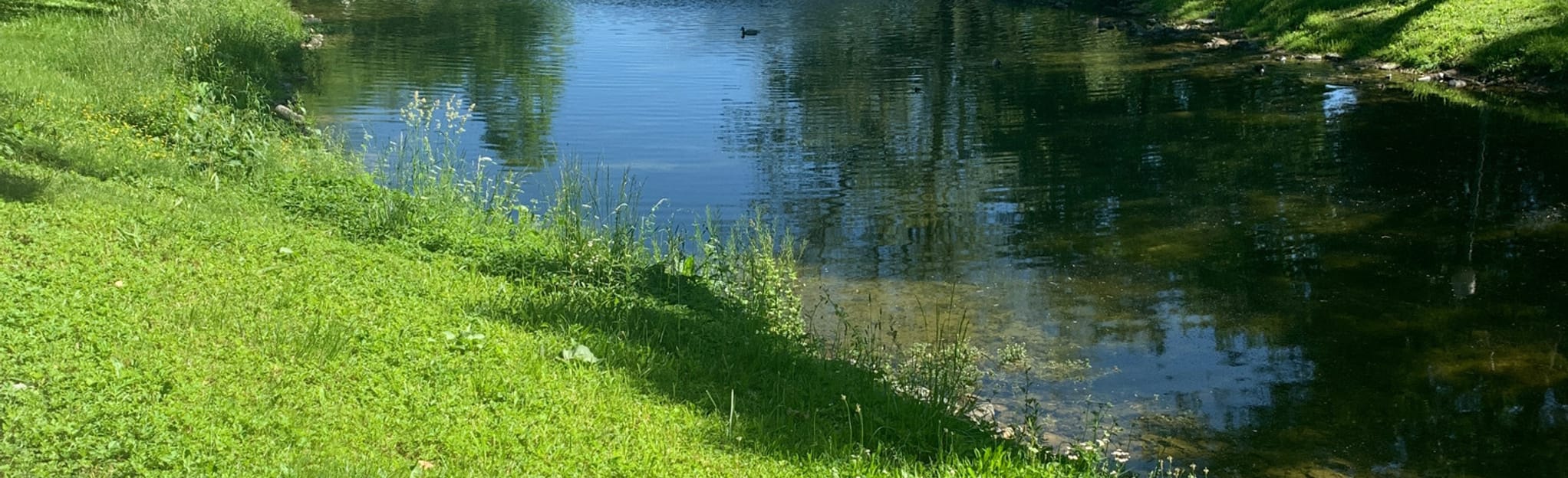Congress Park Loop, New York - 76 Reviews, Map | AllTrails