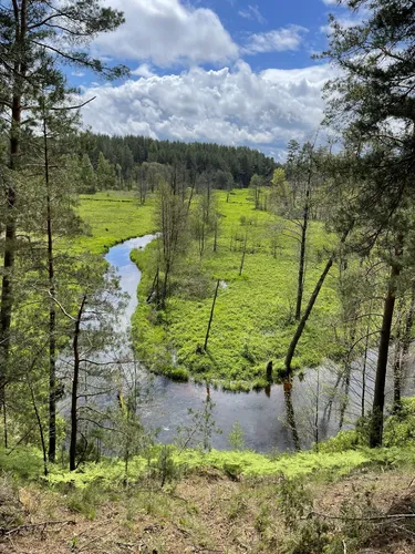 Best Hikes and Trails in Dzūkija National Park | AllTrails